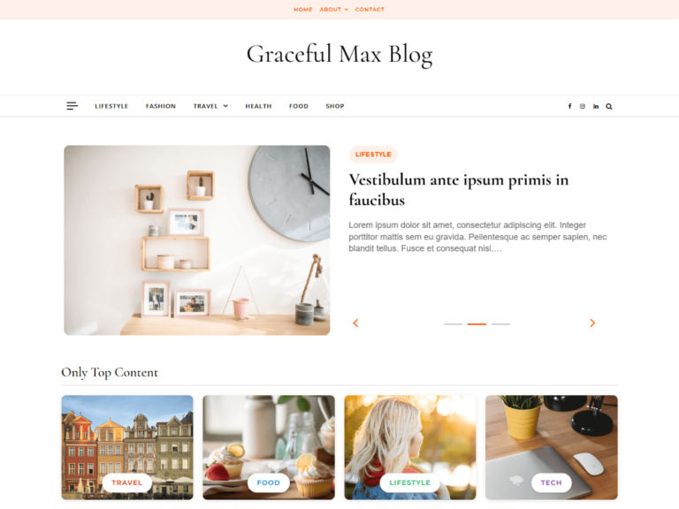 Graceful Max Blog Theme - Optima Themes